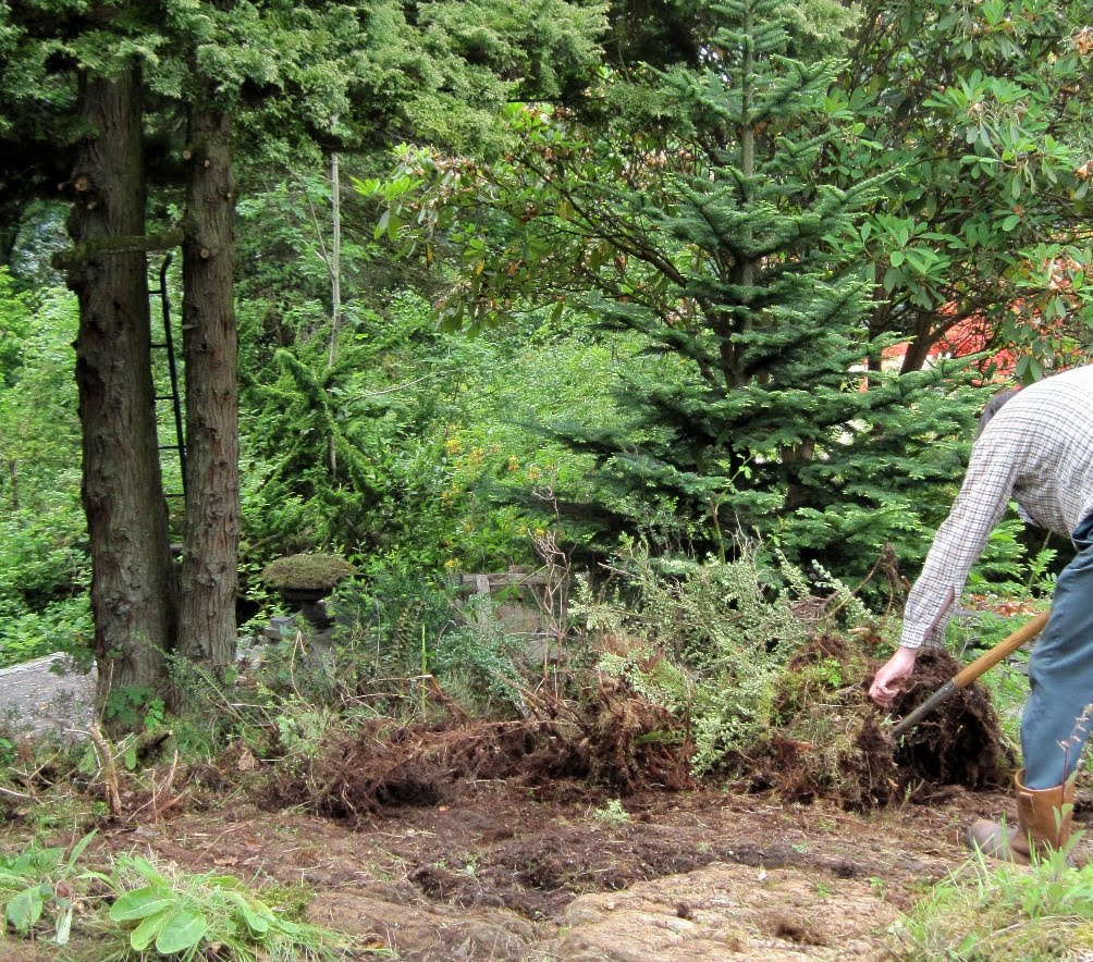 Flutterby Patch: Busy doing nothing!