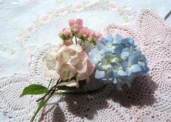 Flutterby Patch: July 2010