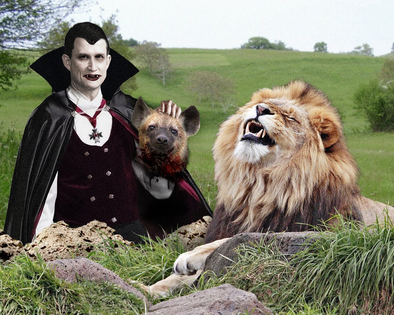 True American Dog: LION FINDS VAMPIRE'S JOKES HILARIOUS