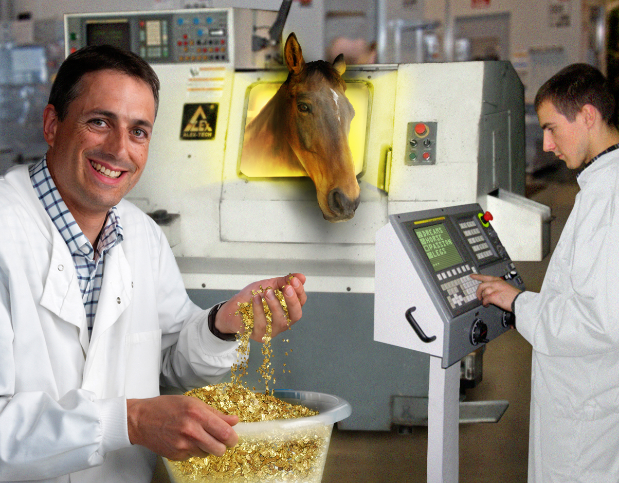 Scientist Extracts Gold From Horse's Legs ~ Dog for Friends