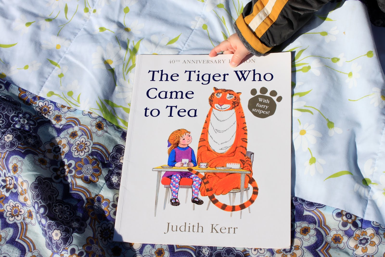 Emily Grace Watkins: British Picture Books: The Tiger Who Came to Tea
