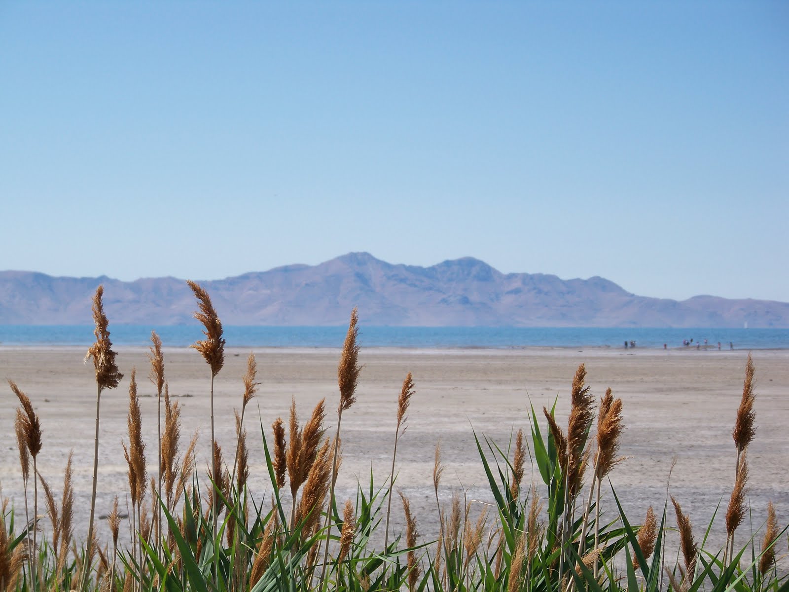 As My Mother Before Me: The lake of Salty Water