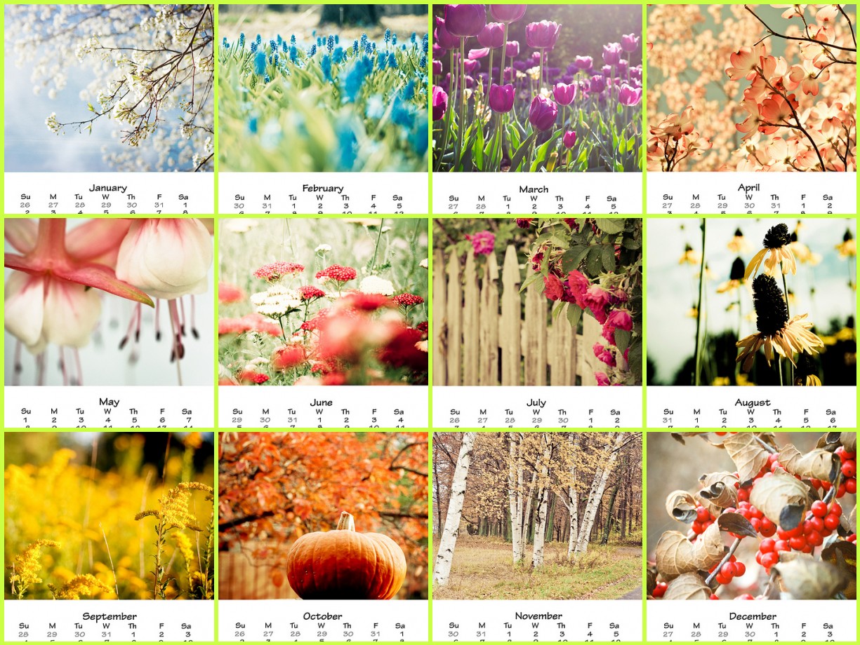 Oh Joy! Photography: 2011 Calendars & Note Cards {Central Ohio Fine Art ...
