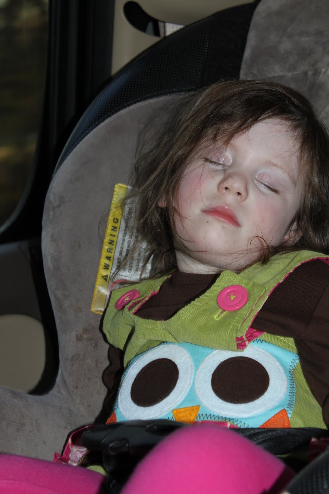 Mojoy: Gabbi assists in therapy