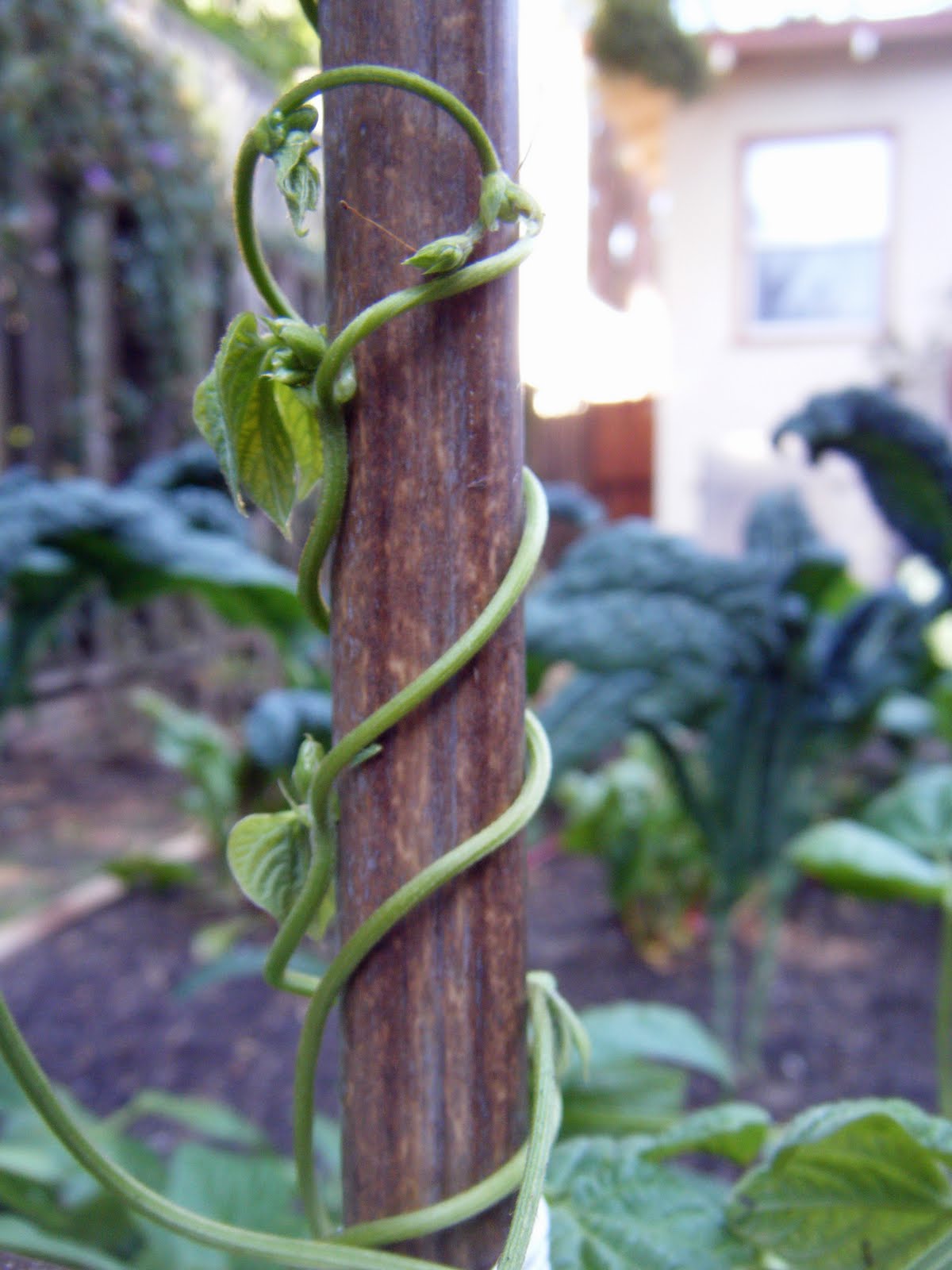 MoodBrilliant: Santa Cruz to Sausalito to San Francisco