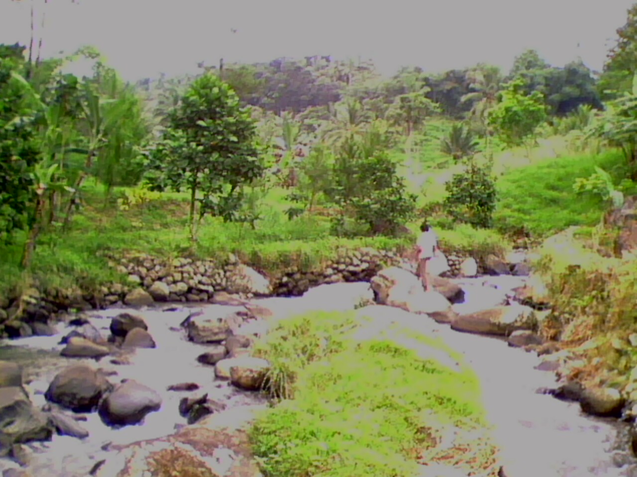 Sendang Desa Wisata: Panorama