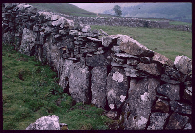 Viking Stone Walls