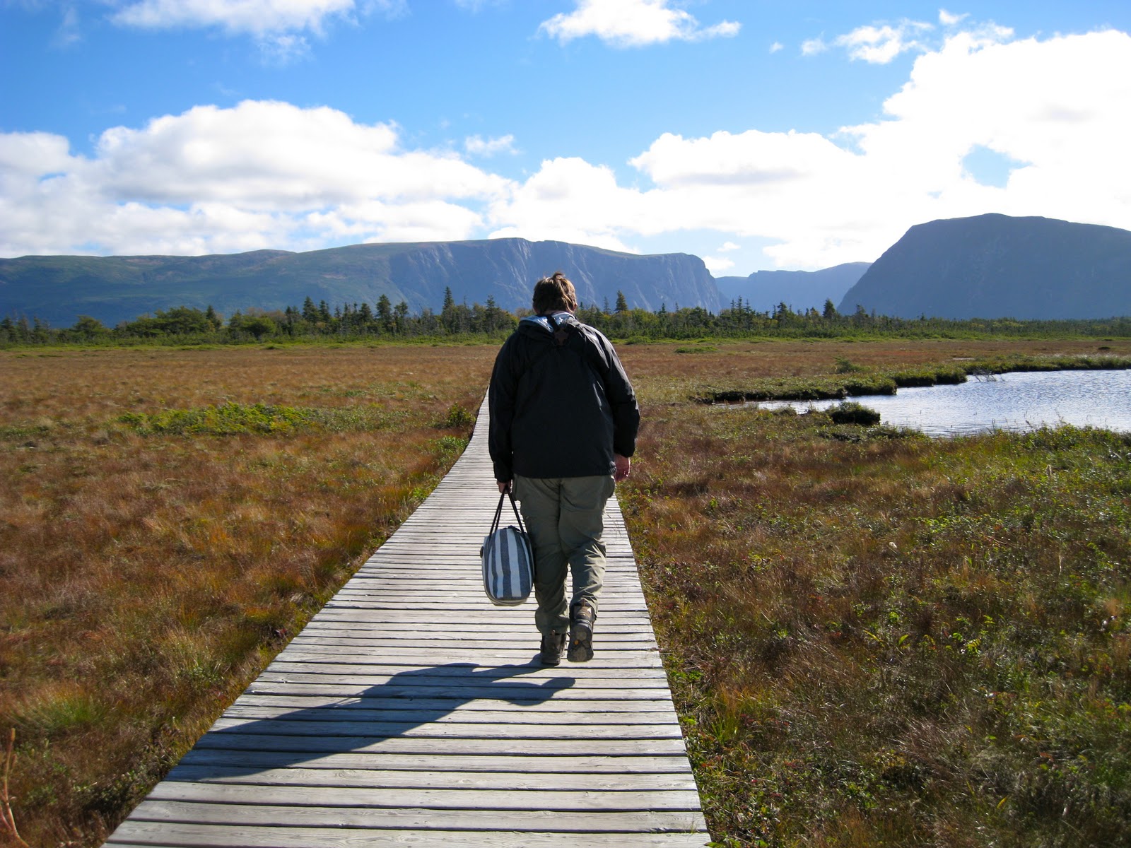 2010 NORTH TO NEWFOUNDLAND COLLINS: ROAD TRIP: DAY 44 NEWFOUNDLAND ...