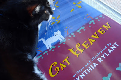 my *2010* is HERE: *cat*heaven*