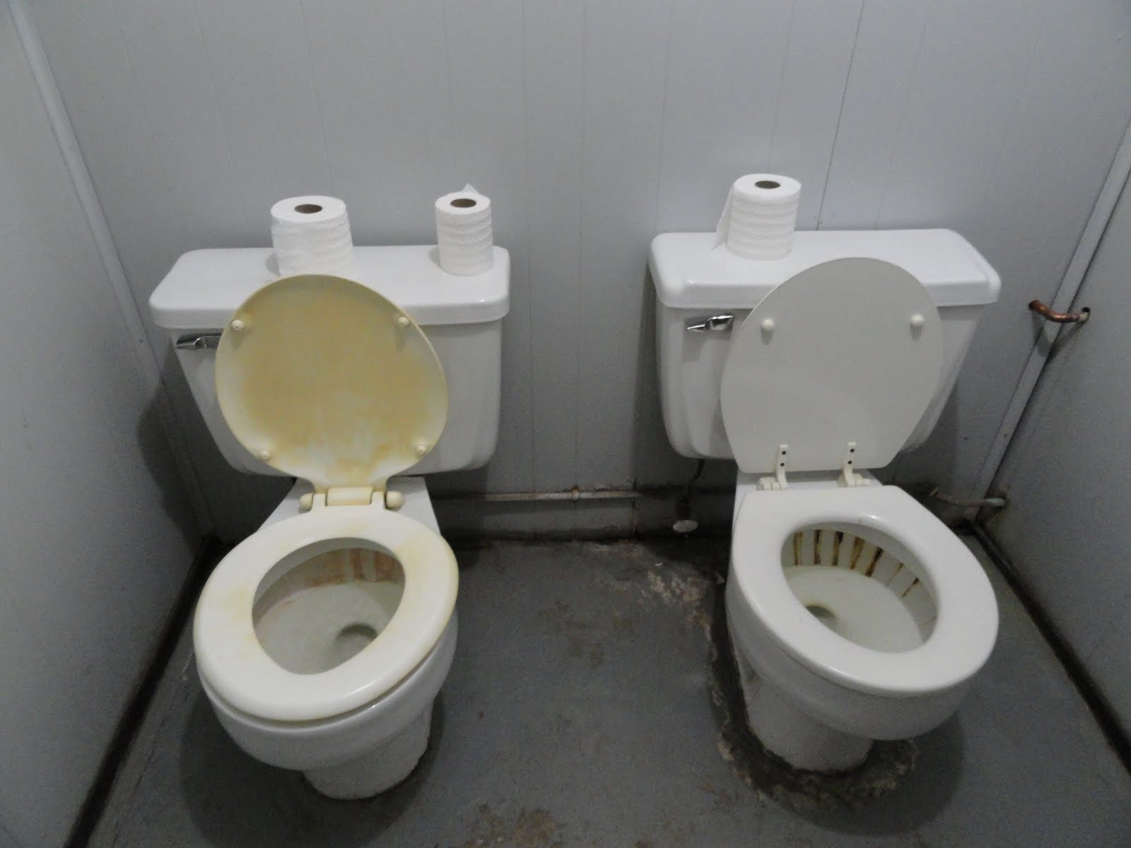 A tale of two toilets