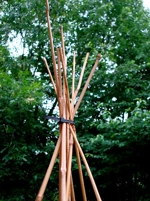 Seeds and Sunshine: Bamboo Teepee