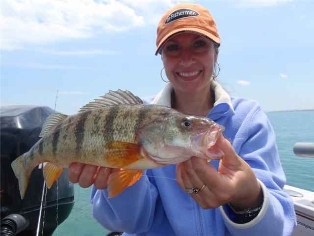 THE FISHING NEWS: HOT JUMBO PERCH ON LAKE MICHIGAN