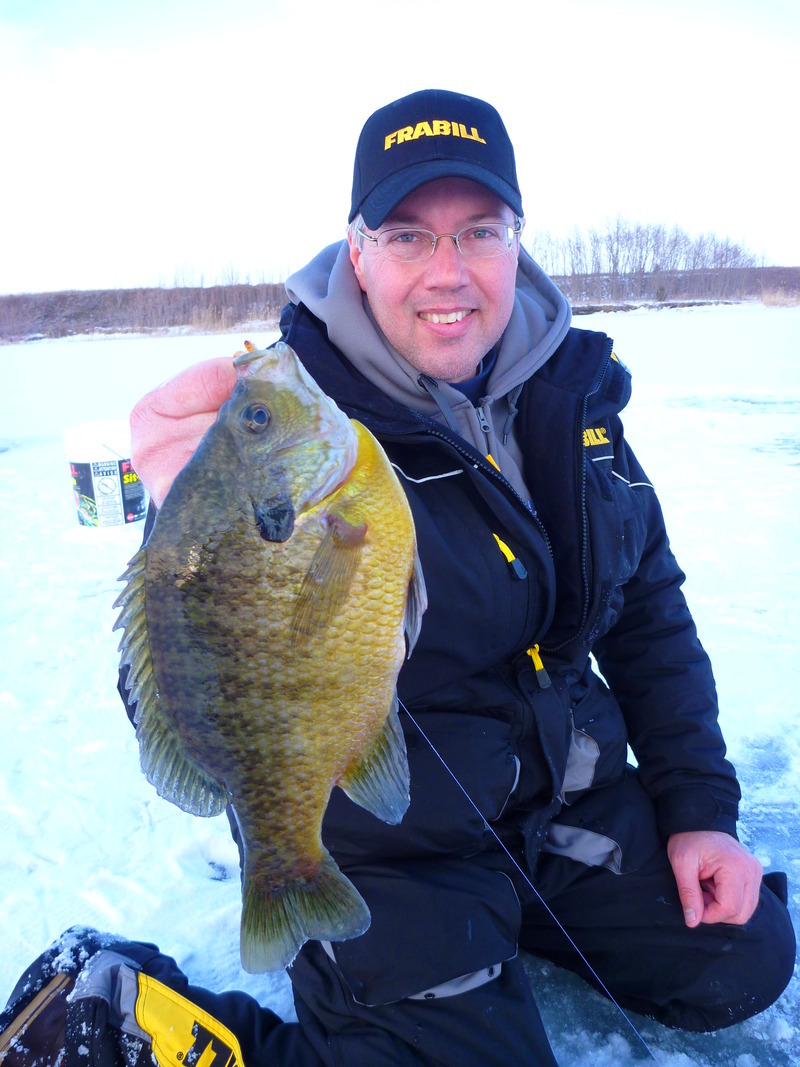 THE FISHING NEWS: ICE FISHING FOR MONSTER BLUEGILLS