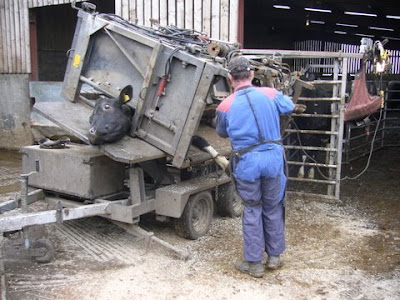 Norman Walker: Cattle foot trimming