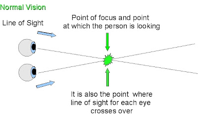 VIRTUAL ILLUSION: 01.2011