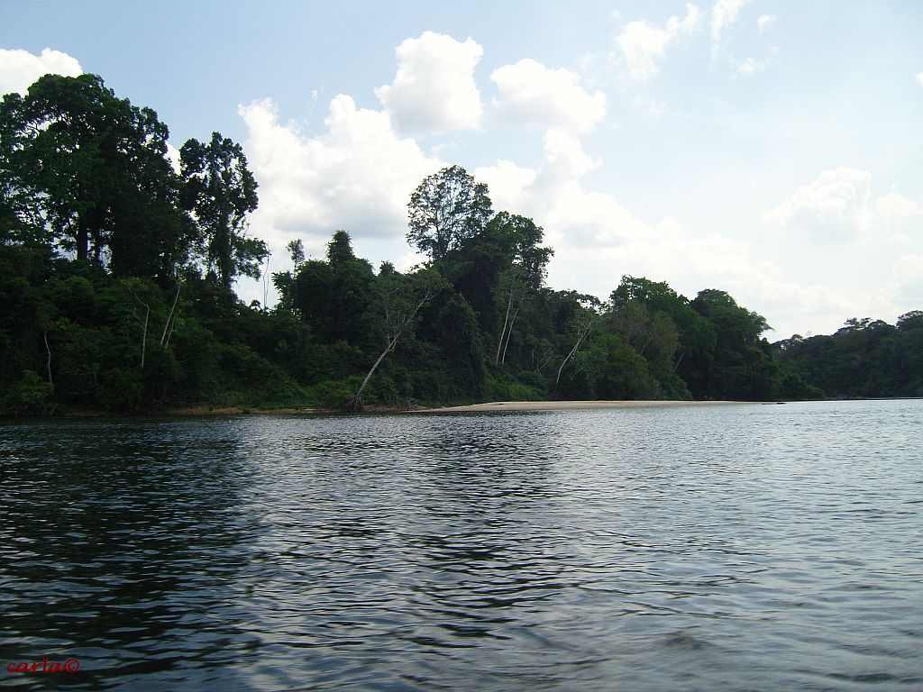 SURINAME: SURINAME RIVIER in het BINNENLAND