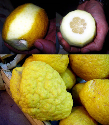 TheTaoOfFood: Funky lemon (Italian Cedro) in Palermo