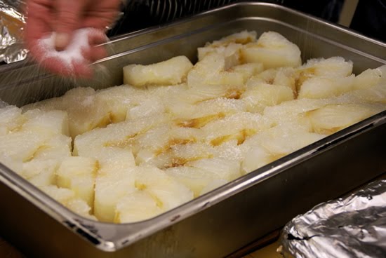 ngentubrux: The World’s Most Disgusting Fish Dishes