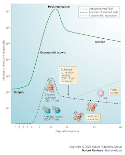 Virus-Host Interactions: Virus Life Cycle - The growth curve