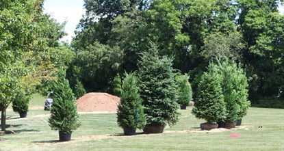 15 Minutes, Gosselin Style: Kate continues landscaping project