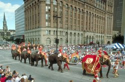 The Circus "NO SPIN ZONE": Milwaukee Great Circus Parade is Back In Town