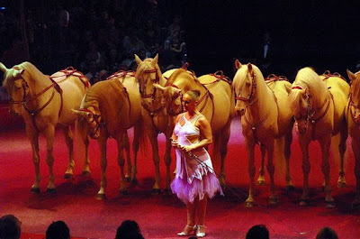 The Circus "NO SPIN ZONE": Arlette Gruss Circus--Maude Gruss