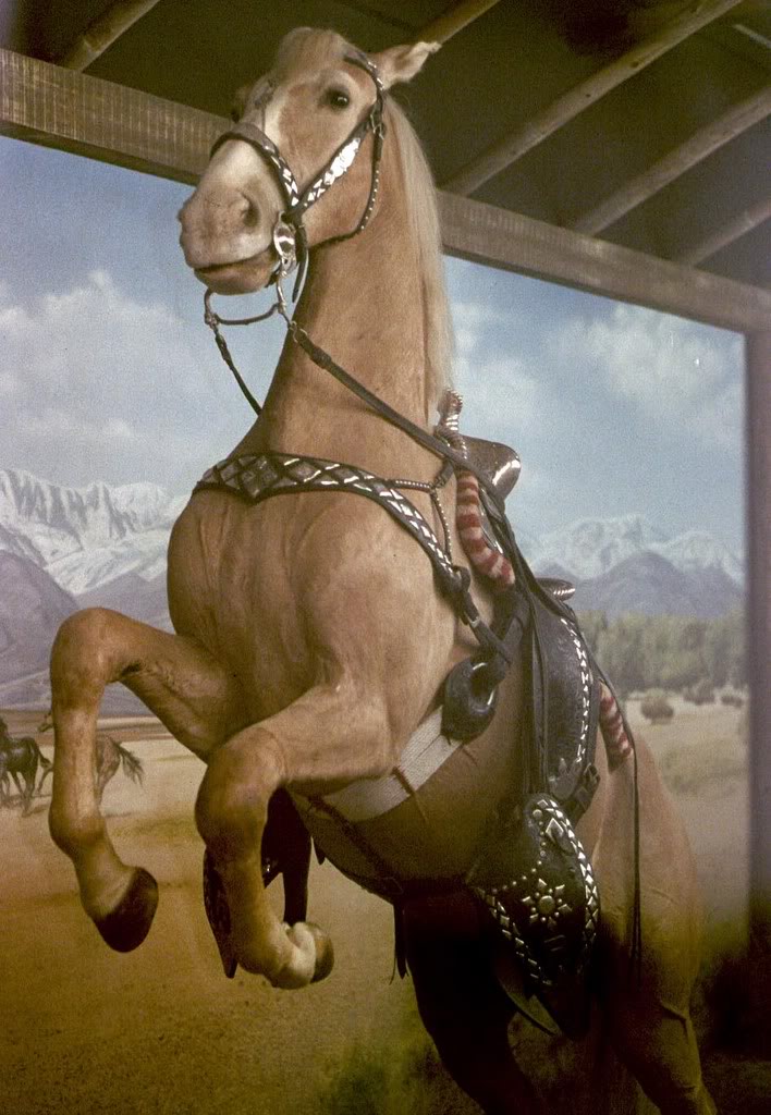 The Circus "NO SPIN ZONE": 07/02/10