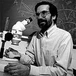 Doğada Neler Oluyor?: 20 Milyon Yıllık Örümcek Fosili Bize Ne Anlatıyor?