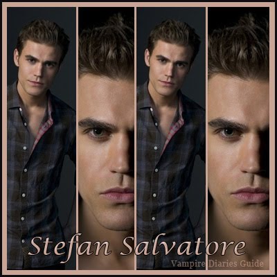 Once Upon A Lifetime: The Vampire Diaries