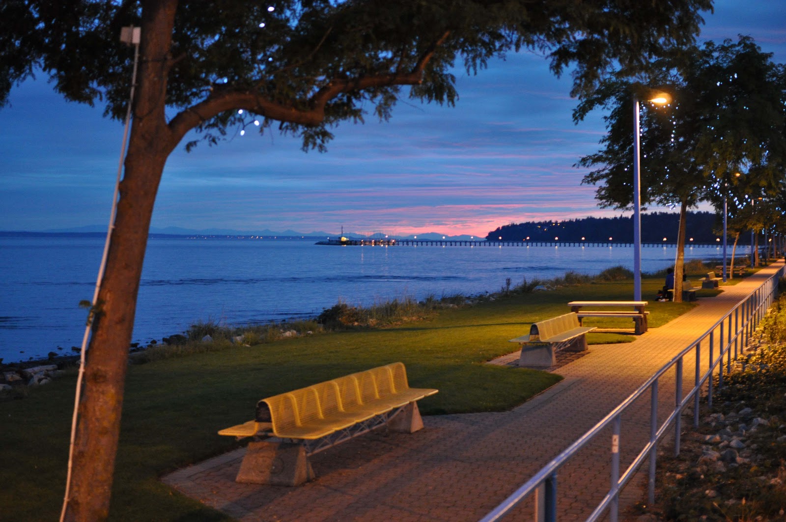 THRU the WINDSHIELD: White Rock, BC at night