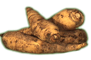 Enjoy-Lovelife: 5 Great Vegetables You Haven’t Heard Of