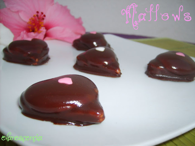 La Manzana dulce de Eva: Daring Bakers julio 2009: Mallows (Chocolate ...