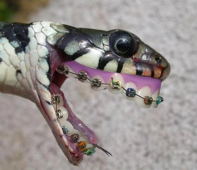 Dr. Ronaldo Garcia - Ortodontia