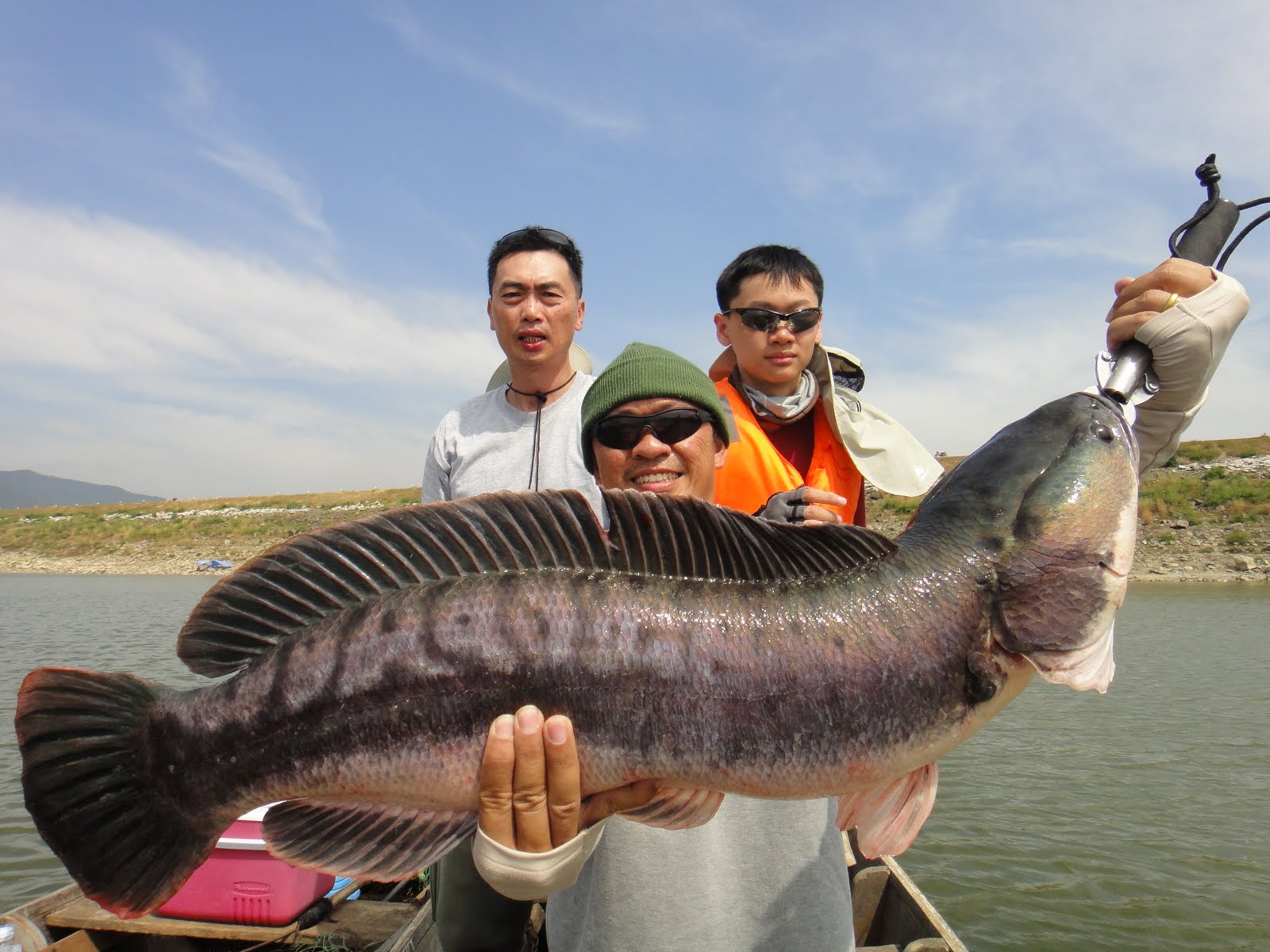 Thailand Giant Snakehead (Toman) And Wild Fishing.: 7.49KG Toman By ...