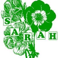 Your resource for all things shoegaze and dream pop: Interview: Scott ...