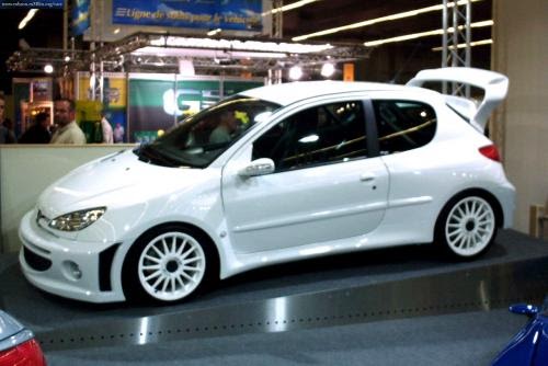 peugeot 206 modified white