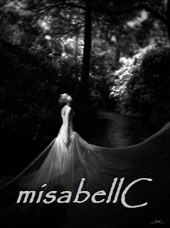 misabell (~.~=) ☆ misabellC ☆ ╰☆╮: Afonso Schmidt
