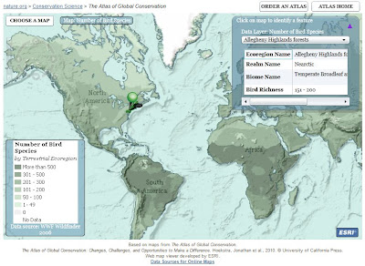Dendroica: Mapping Ecosystems and Biodiversity