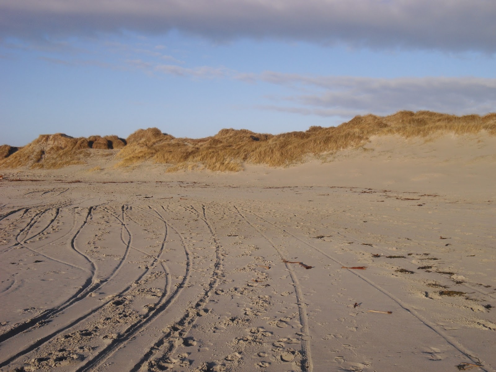 Livs hemmelige blogg: Orrestranda / Nudiststranda