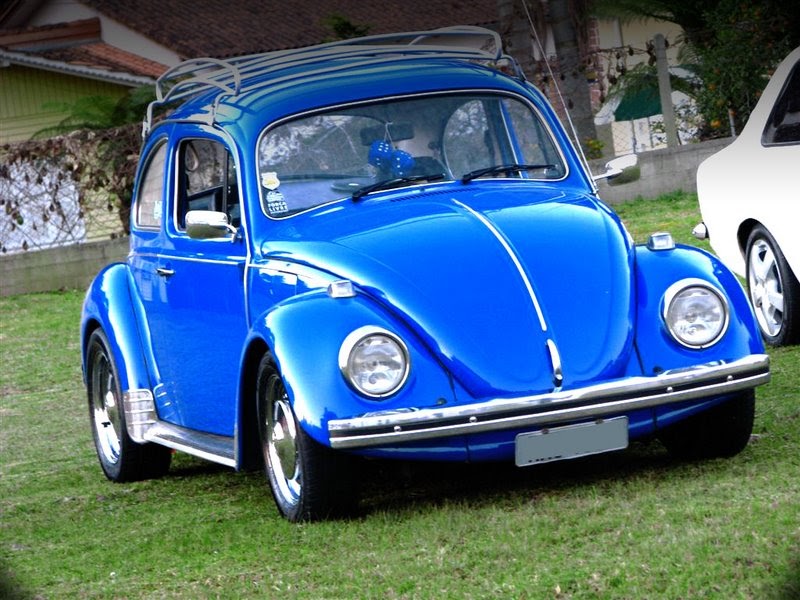 Fusca na foto: Fusca 1980 1300L Azul Arara