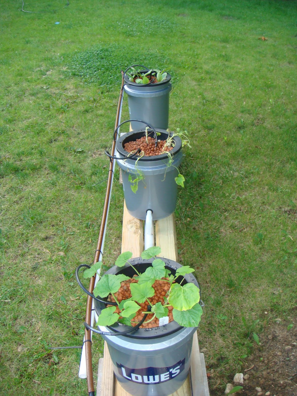 Tom's Gardening Area: New Hydro Bucket system up and running.