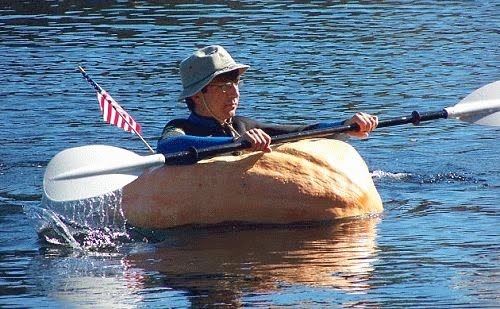 Wonderful World: 20 Funny Boats