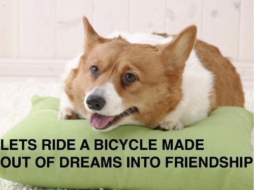 How i imagine my dog when i come home after a long day : r/corgi