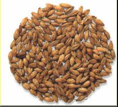 Malto d'Orzo: Come fare la birra