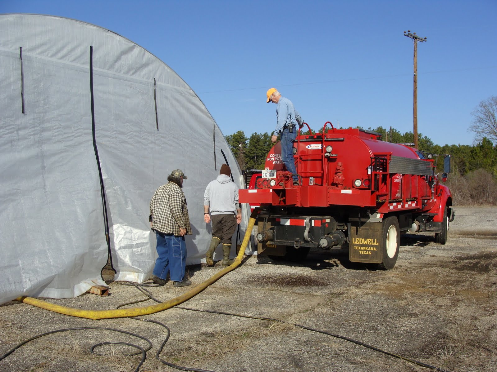 Caddo Lake Giant Salvinia Eradication Project: Refilling Weevil / Giant ...