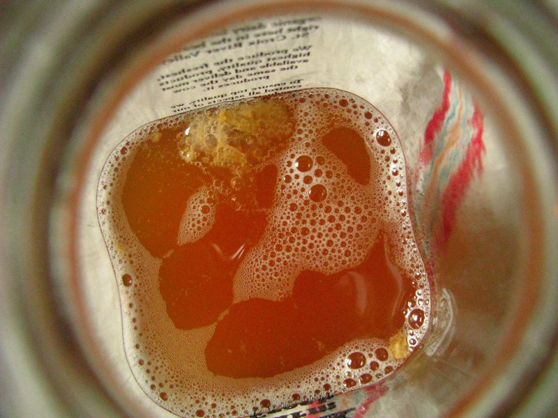 CakeWalk: My Bravest Adventure Yet: Kombucha