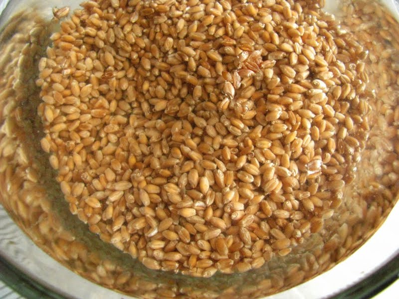 CakeWalk: Sprouted Grain Flour