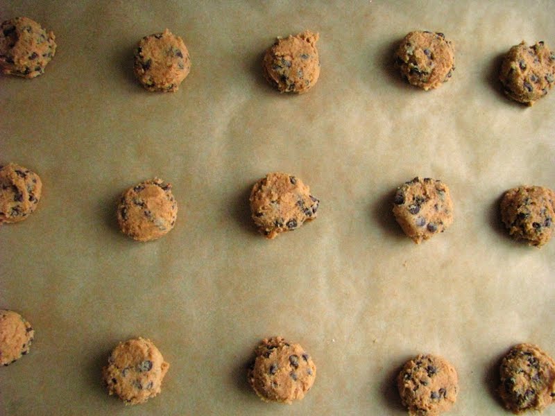 CakeWalk: Sprouted Wheat Cookies, or In Which I Try Not to Really Want ...
