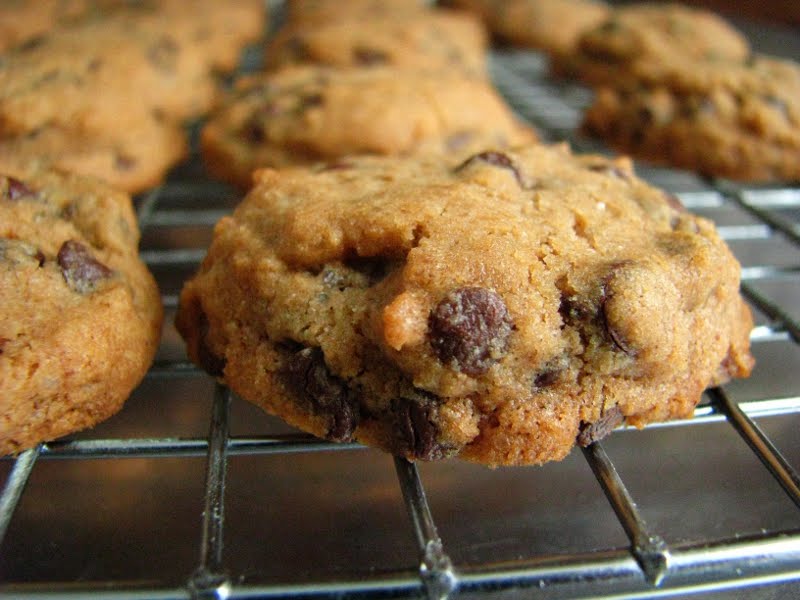 CakeWalk: Sprouted Wheat Cookies, or In Which I Try Not to Really Want ...