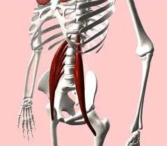 Yogi Sticks: 8-9-10: Psoas Awareness and 8-11-10 Pigeon